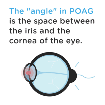 Neurological Disorders and Eyesight – NVISION