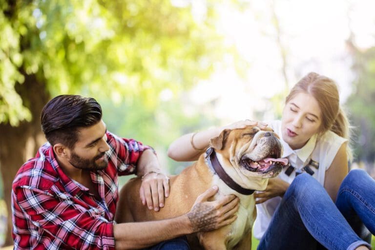 Vision Care Guide for Veterans – NVISION