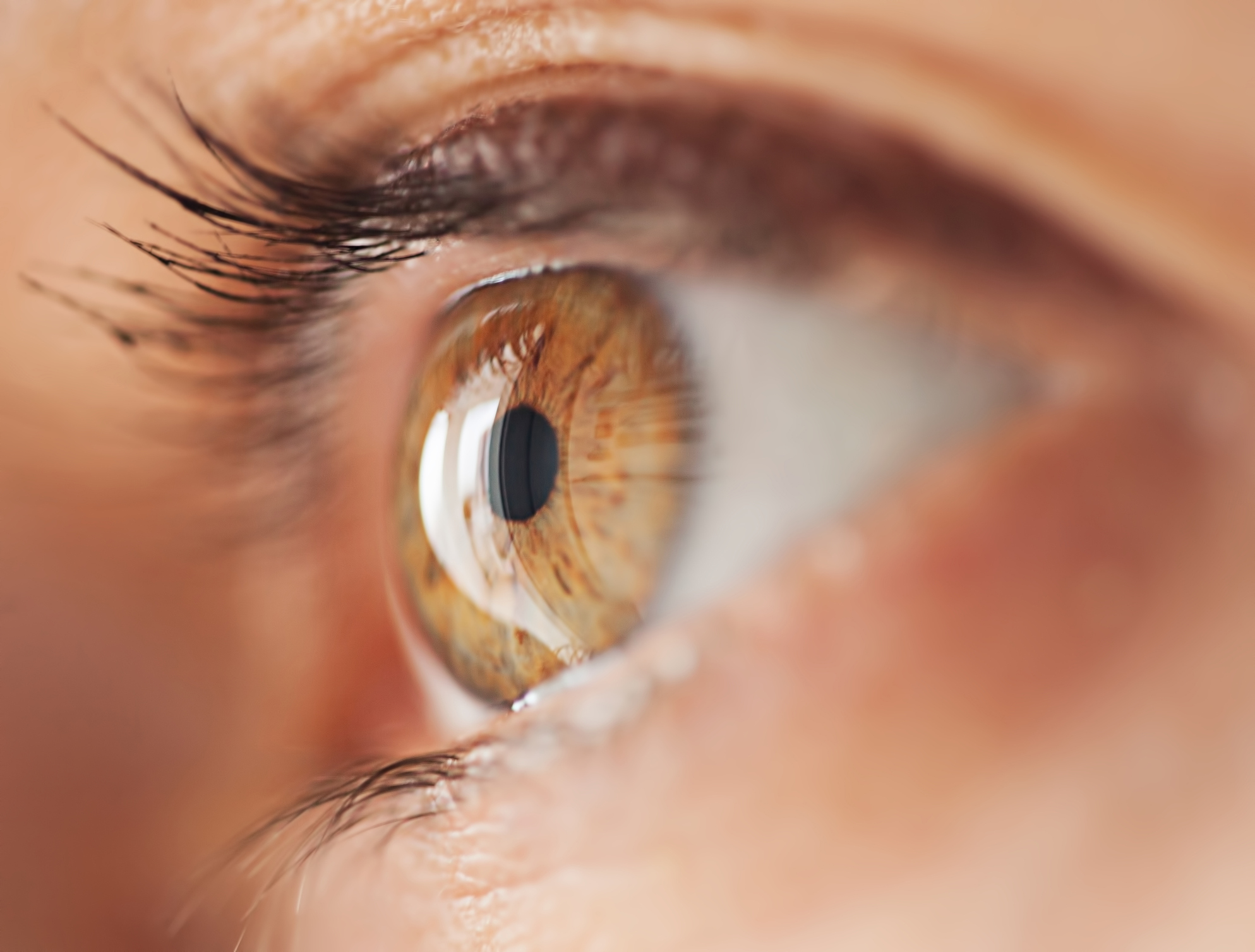 Anatomy Of The Eye Eye Structure More NVISION Eye Centers