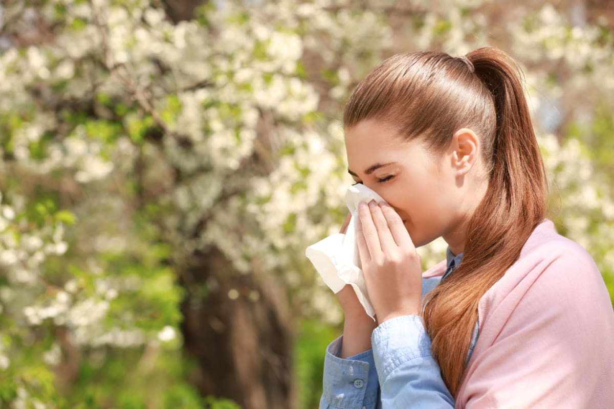 States With the Worst Allergies – NVISION